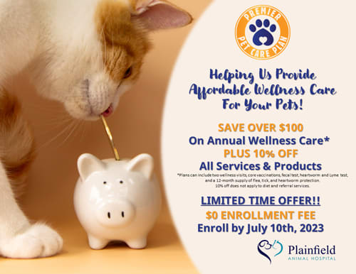 Pet Wellness Plans | Veterinary Wellness Plans | South Plainfield